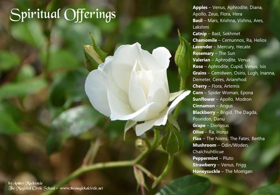 Spiritual Offerings – Mystic Sisters Gallery